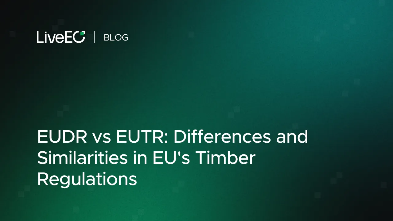 LiveEO l EUDR vs EUTR: Differences and Similarities in EU's Timber Regulations